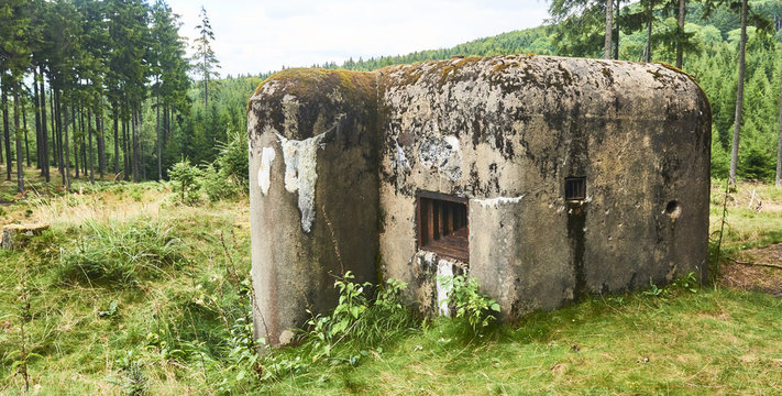 Ropik 影像 – 瀏覽 101 個素材庫相片、向量圖和影片 | Adobe Stock