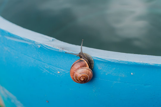 Sanil Images – Browse 38 Stock Photos, Vectors, and Video | Adobe Stock