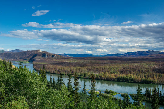 รูปภาพ"Yukon Territory" – เลือกดูภาพถ่ายสต็อก เวกเตอร์ และวิดีโอ20,111 ...
