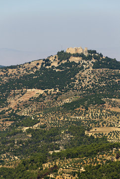 Rabad Images – Browse 39 Stock Photos, Vectors, and Video | Adobe Stock