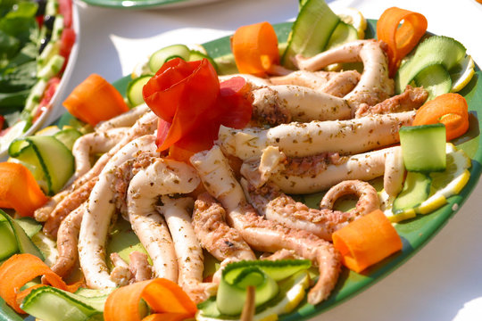 Octopus Legs"」の写真素材 | 79件の無料イラスト画像 | Adobe Stock