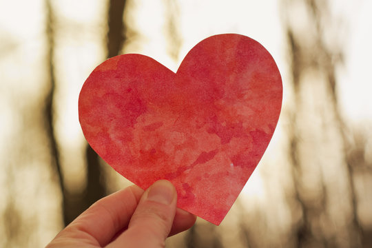 Serce-Bilder: Stock-Fotos & -Videos. | Adobe Stock