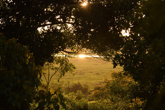 Exuberância Imagens – Procure 18,612 fotos, vetores e vídeos | Adobe Stock