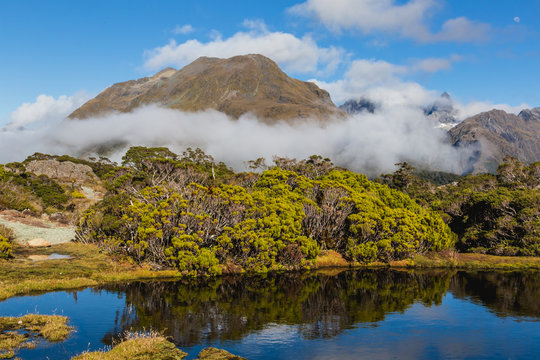 รูปภาพSnowpeak – เลือกดูภาพถ่ายสต็อก เวกเตอร์ และวิดีโอ279 | Adobe Stock