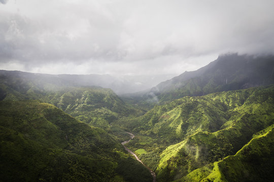 รูปภาพTropenwald – เลือกดูภาพถ่ายสต็อก เวกเตอร์ และวิดีโอ1,105 | Adobe ...