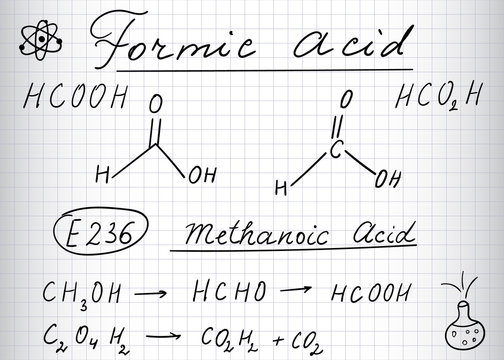 Formic Images – Parcourir 779 le catalogue de photos, vecteurs et ...