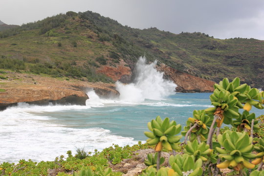 รูปภาพLithification – เลือกดูภาพถ่ายสต็อก เวกเตอร์ และวิดีโอ156 | Adobe Stock