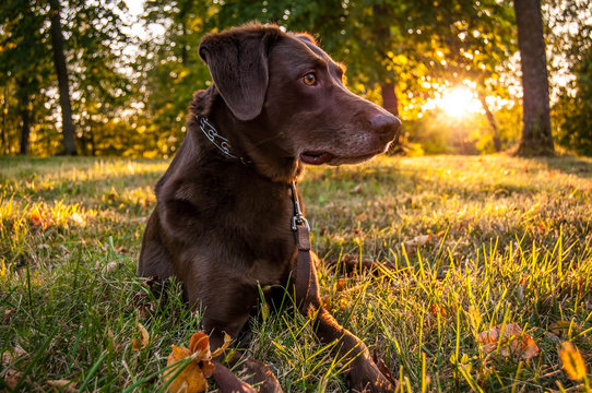Jamin photos, images, assets | Adobe Stock