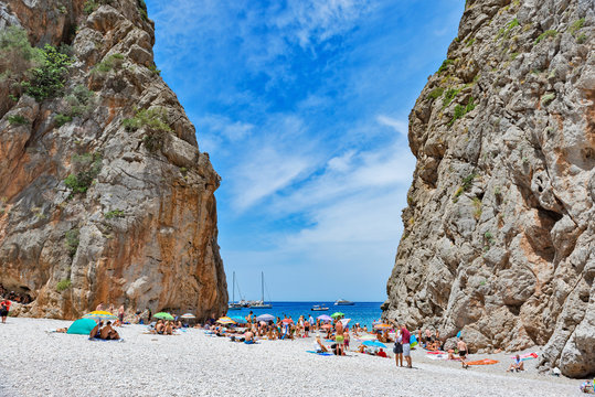 "Torrent De Paris" Images – Browse 16 Stock Photos, Vectors, and Video ...