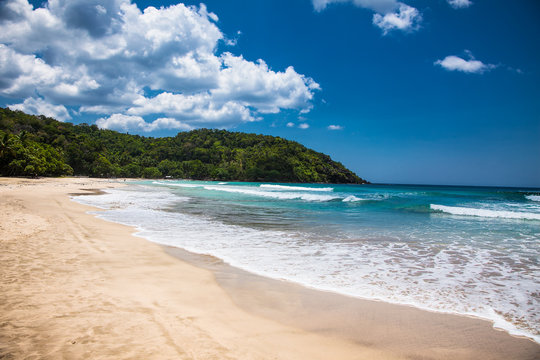 Duli Images – Browse 50 Stock Photos, Vectors, and Video | Adobe Stock