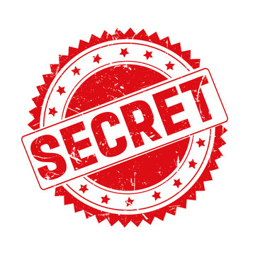 The Secret Logo