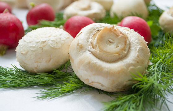 Champignons Billeder – Gennemse 174,925 stockfotos, vektorer og videoer ...