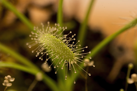"Colla bilder – Bläddra bland 1,214 stockfoton, vektorer och videor ...