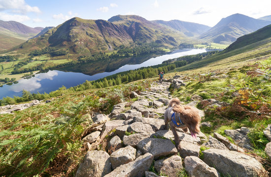 Buttermere Images – Browse 3,969 Stock Photos, Vectors, and Video ...