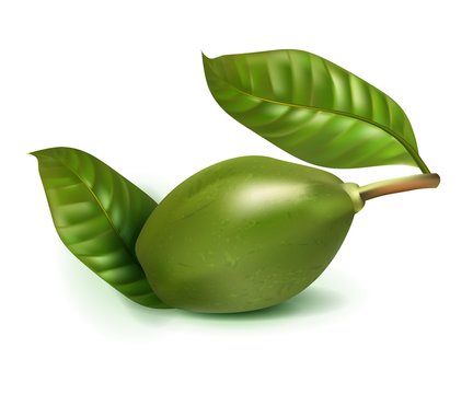 Jobo Images – Browse 60 Stock Photos, Vectors, and Video | Adobe Stock