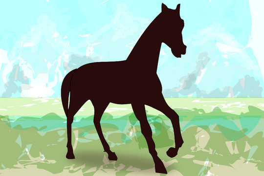 Finura Images – Browse 43 Stock Photos, Vectors, and Video | Adobe Stock