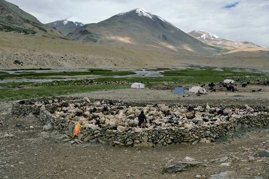 Changpa Images – Browse 57 Stock Photos, Vectors, and Video | Adobe Stock