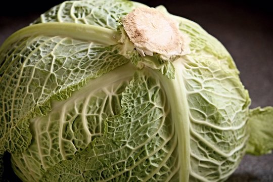 Kopfkohl 이미지 – 찾아보기 198 스톡 사진, 벡터 및 비디오 | Adobe Stock