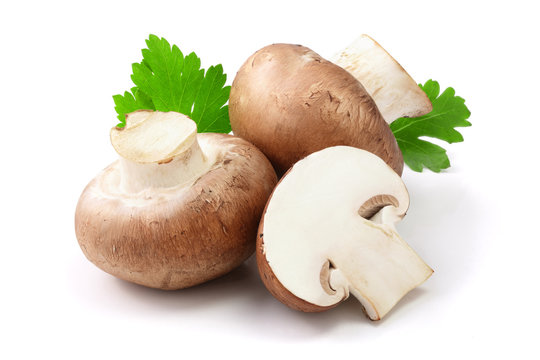Champignons bilder – Bläddra bland 167,632 stockfoton, vektorer och ...