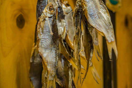 Taranka Images – Browse 677 Stock Photos, Vectors, and Video | Adobe Stock