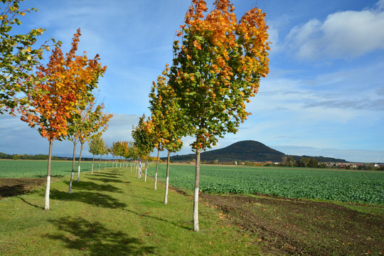 Oip Images – Browse 63 Stock Photos, Vectors, and Video | Adobe Stock