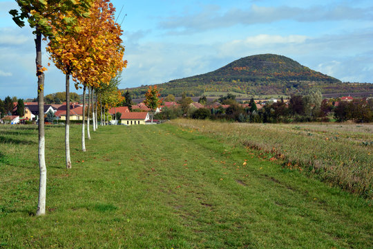 Oip Images – Browse 62 Stock Photos, Vectors, and Video | Adobe Stock