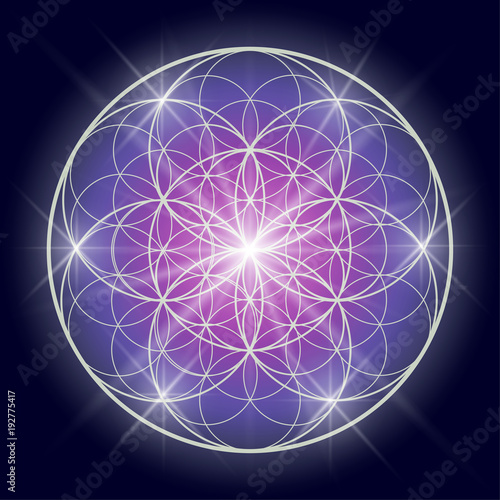 Flower Of Life Free Vector | Best Flower Site