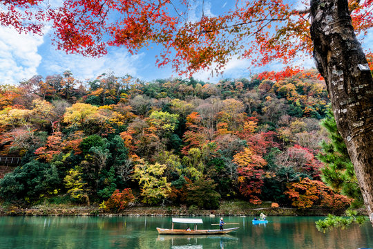 "Scenery Scenic" bilder – Bläddra bland 236 stockfoton, vektorer och ...