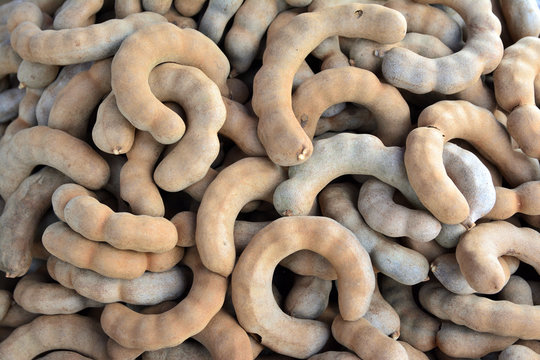 Tammarine Images – Browse 9 Stock Photos, Vectors, and Video | Adobe Stock