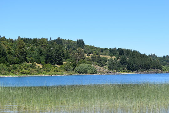 "Lago Ranco" Images – Browse 123 Stock Photos, Vectors, and Video ...