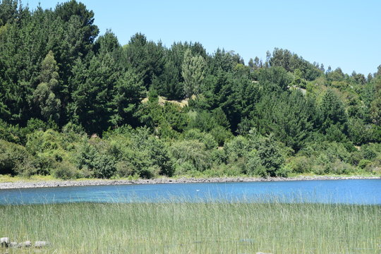 "Lago Ranco" Images – Browse 63 Stock Photos, Vectors, and Video ...