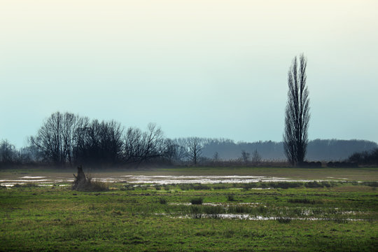 Sumpfig Bilder – Durchsuchen 1,054 Archivfotos, Vektorgrafiken und ...