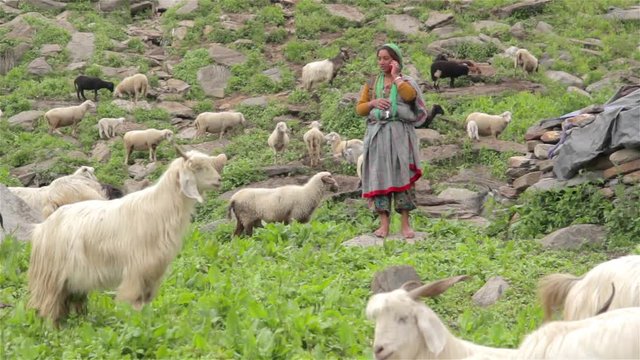 Pahari Images – Browse 100 Stock Photos, Vectors, and Video | Adobe Stock