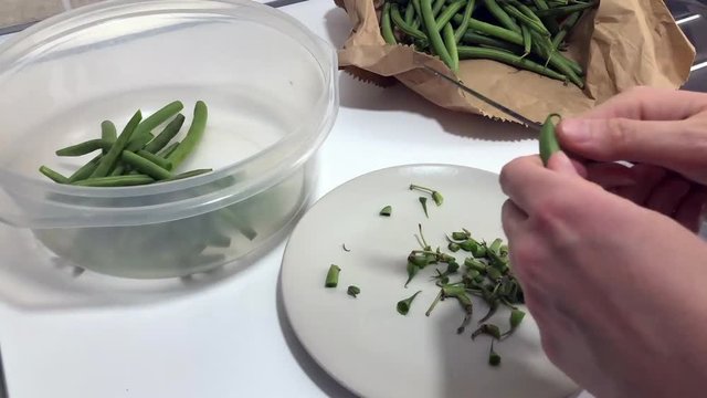 Snipped Green Beans Images – Browse 113 Stock Photos, Vectors, and ...