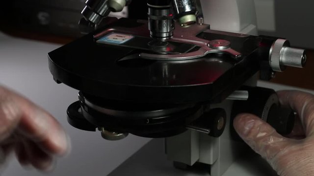 "Compound Microscope" Images – Parcourir 105 le catalogue de photos ...