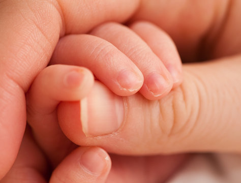 Fingerbreadth Images – Browse 191,208 Stock Photos, Vectors, and Video ...