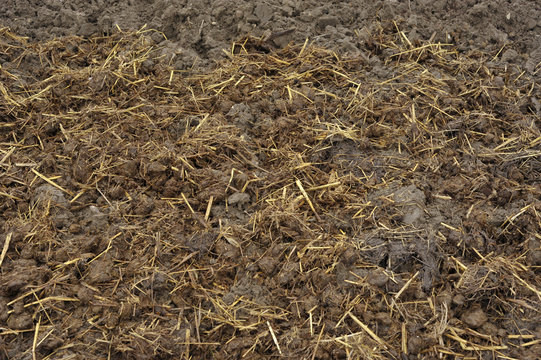Farmyard Manure