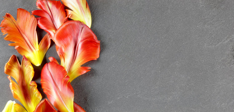 Imagens de Pulsierend – Explore Fotografias do Stock, Vetores e Vídeos ...