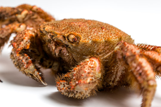 Kegani Images – Browse 55 Stock Photos, Vectors, and Video | Adobe Stock