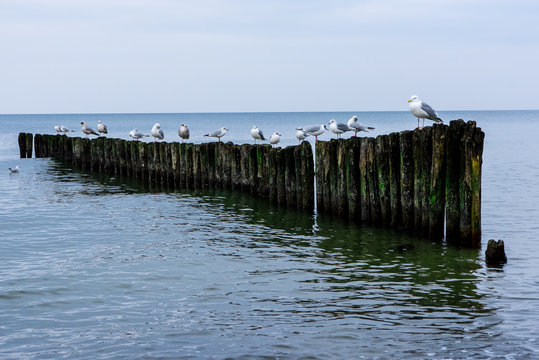 รูปภาพEstakada – เลือกดูภาพถ่ายสต็อก เวกเตอร์ และวิดีโอ214 | Adobe Stock