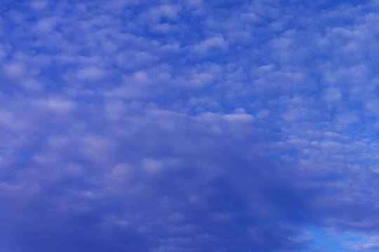 Nobod Images – Browse 357 Stock Photos, Vectors, and Video | Adobe Stock