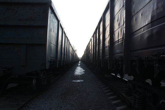 Birulevo Images – Browse 4 Stock Photos, Vectors, and Video | Adobe Stock