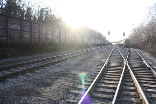 Birulevo Images – Browse 4 Stock Photos, Vectors, and Video | Adobe Stock