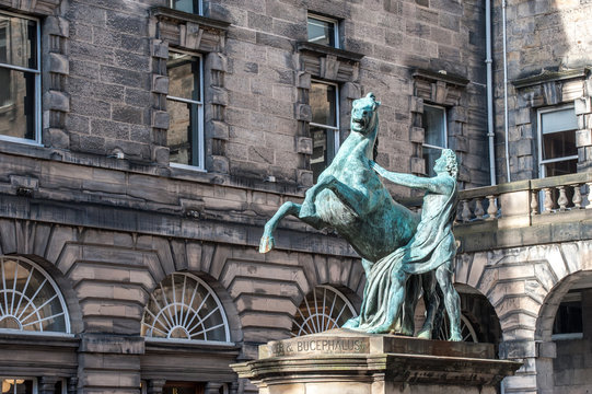 รูปภาพBucephalus – เลือกดูภาพถ่ายสต็อก เวกเตอร์ และวิดีโอ233 | Adobe Stock