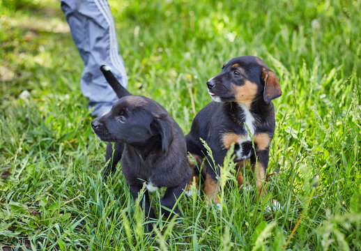 Shable Images – Browse 55 Stock Photos, Vectors, and Video | Adobe Stock