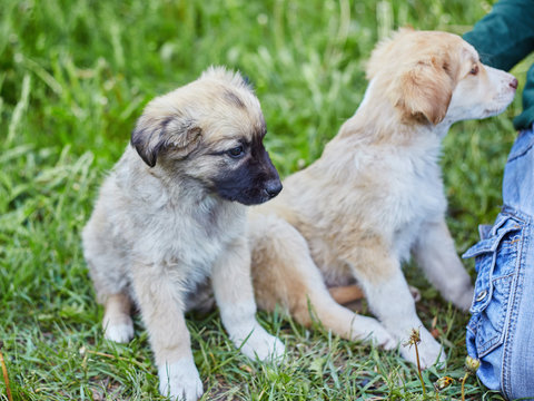 Shable Images – Browse 55 Stock Photos, Vectors, and Video | Adobe Stock