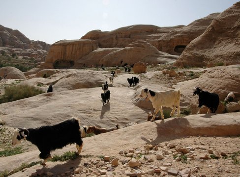 Troglodite 이미지 – 찾아보기 101 스톡 사진, 벡터 및 비디오 | Adobe Stock