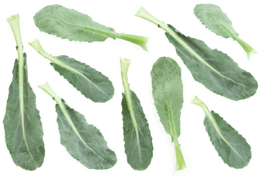 Blattkohl Bilder – Durchsuchen 262,653 Archivfotos, Vektorgrafiken und ...