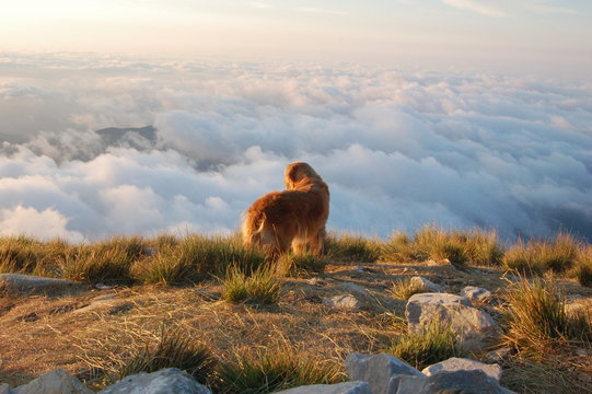 รูปภาพPanias – เลือกดูภาพถ่ายสต็อก เวกเตอร์ และวิดีโอ1,215 | Adobe Stock