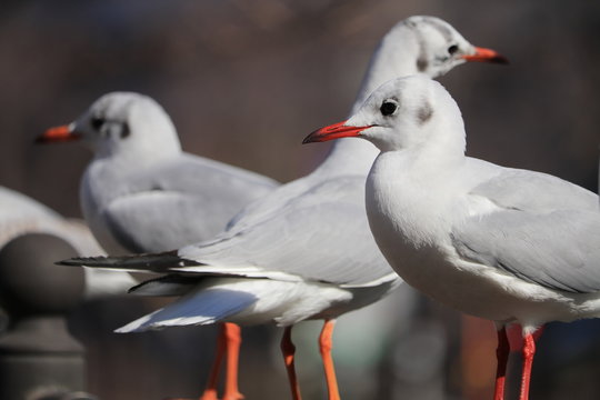 ERIMON photos, images, assets | Adobe Stock